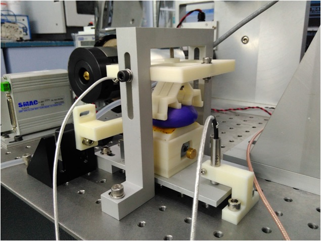 Vuronyx Technologies